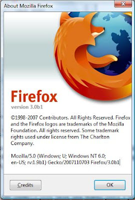 Firefox 3 beta, pequeña review. | Yours to discover