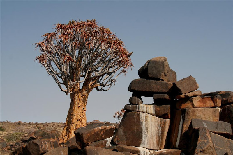 OneStonedCrow: Dolerite Dykes