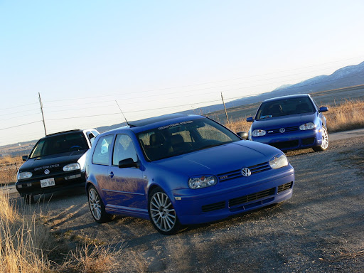 Little fun with German Vermin | VW Vortex - Volkswagen Forum